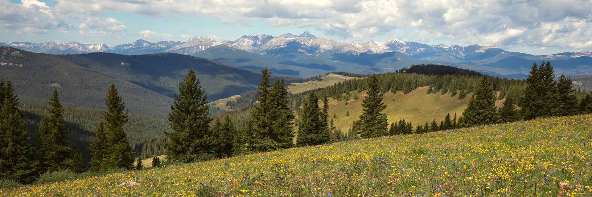 Home - Vail Board of REALTORS®